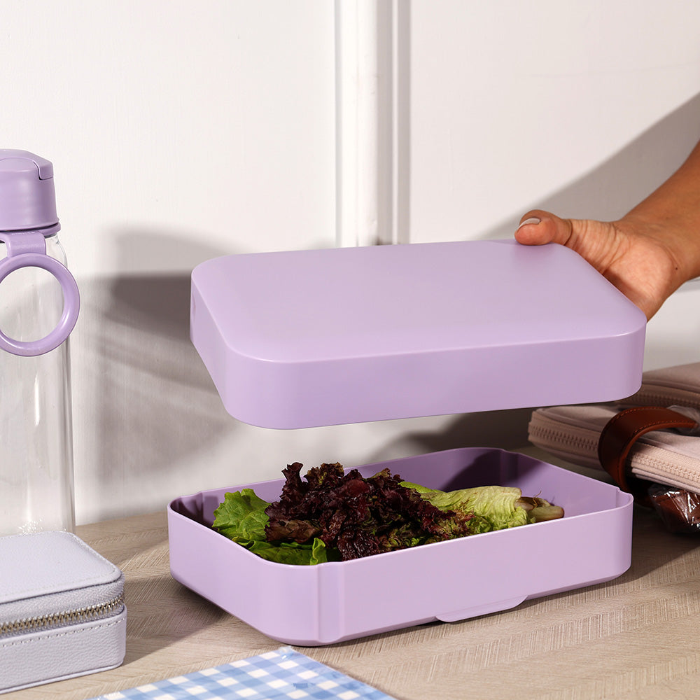Amuse Classic Lunchbox Large - Lavender